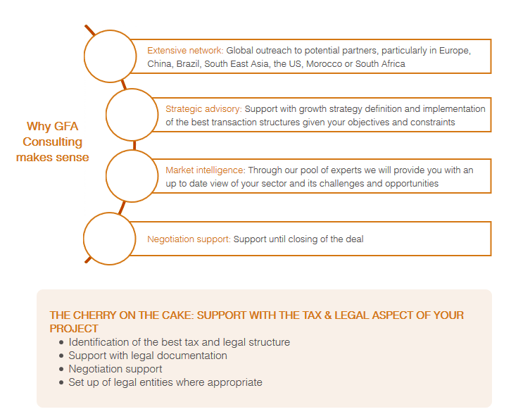 Fundraising Advisory :: GFA Consulting Ltd